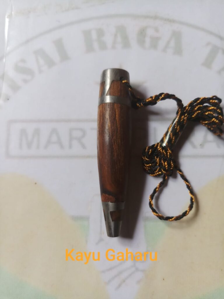 Mengenal Cemeti Ali Kalimantan Selatan - Waroeng Java