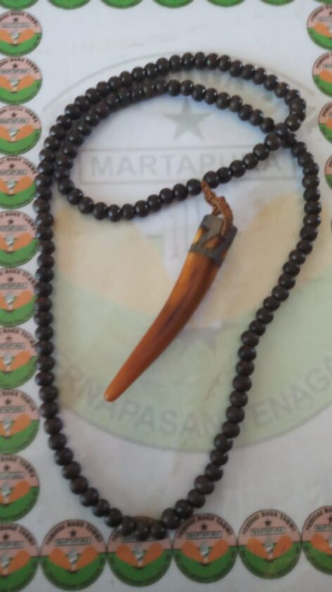 Mengenal Cemeti Ali Kalimantan Selatan - Waroeng Java